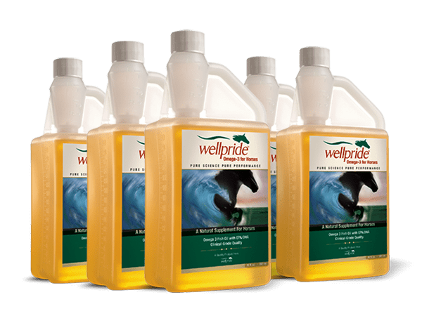 Wellpride | America's #1 Fish Oil for Horses