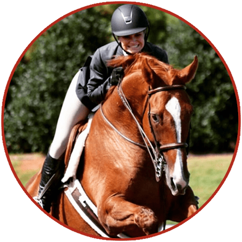 Wellpride | America's #1 Fish Oil for Horses