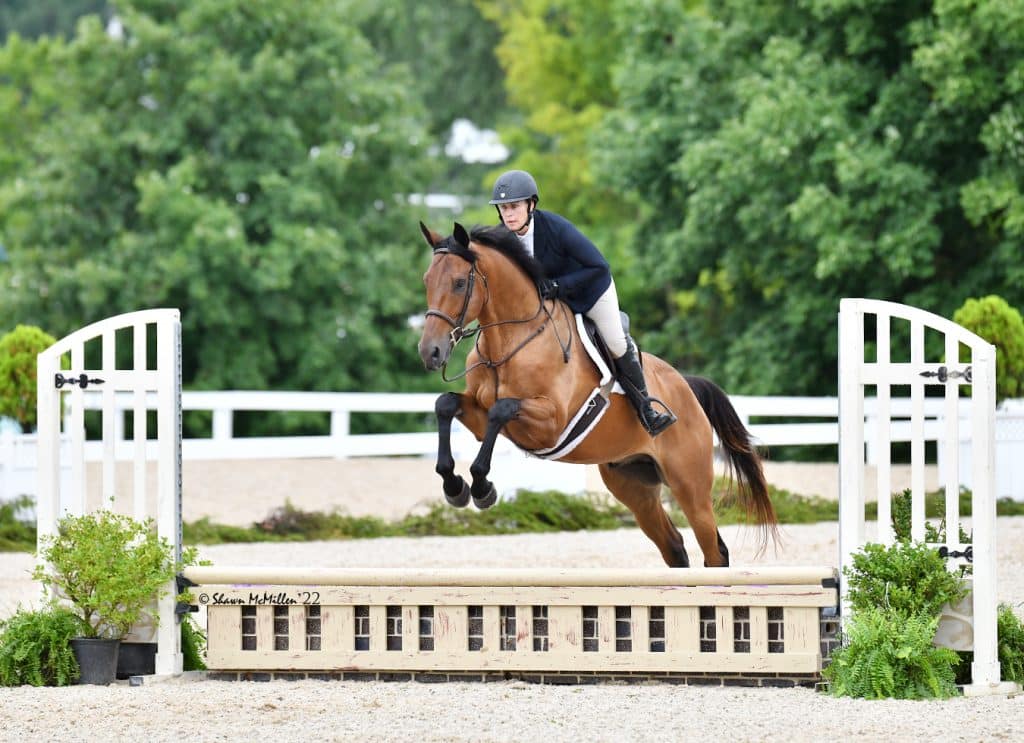 From Rain Rot to Healthy Coat: One Thoroughbred's Transformation ...